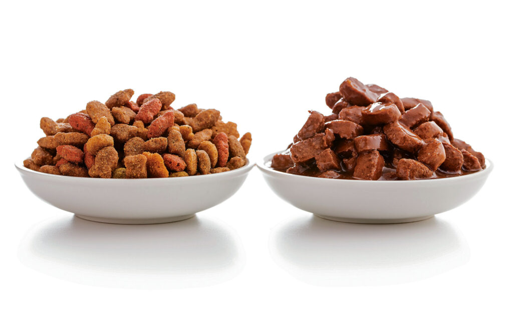 ¿Cómo se debe almacenar el alimento para perro poder canino ...