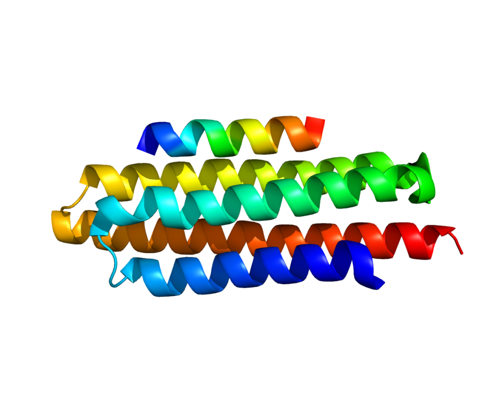 ¿Cuáles son las funciones de la integrina beta 1br - Alimentos101.com