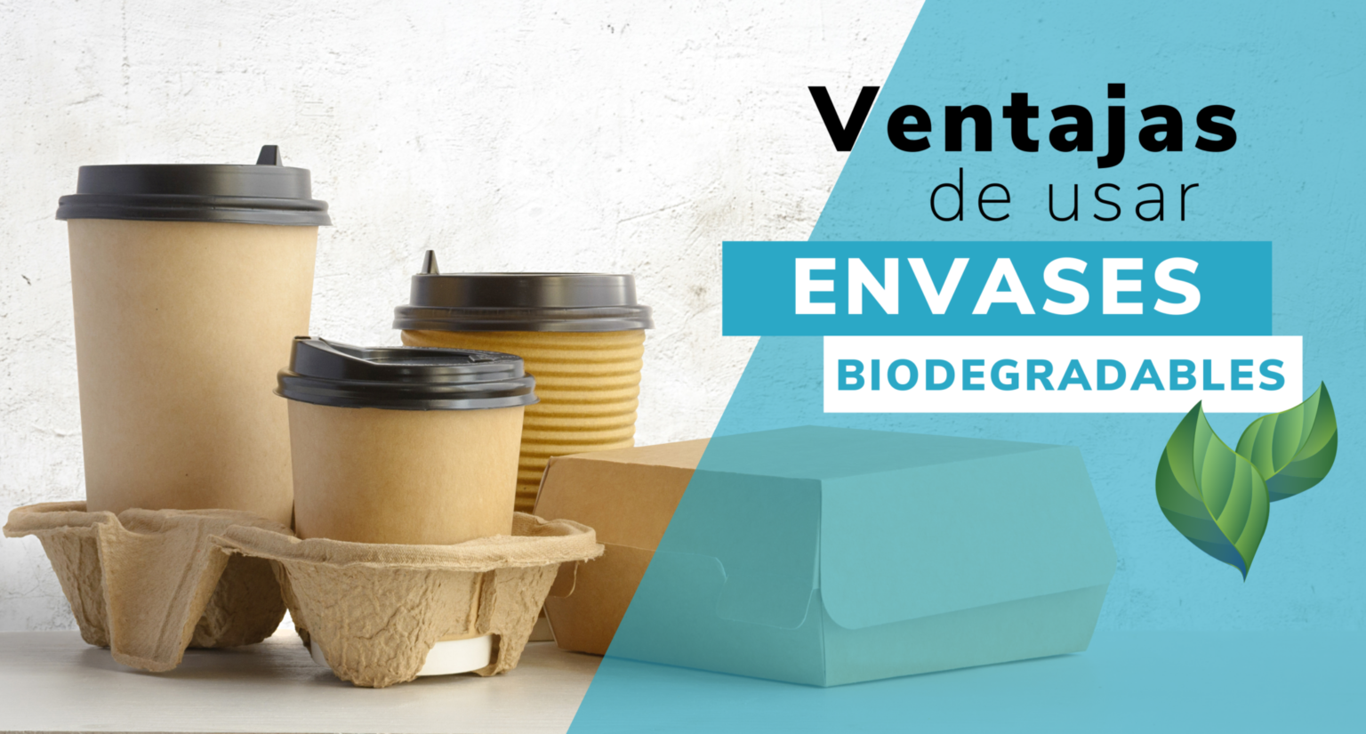 ¿Cuáles son los beneficios de usar empaques ecológicos para alimentos - Alimentos101.com